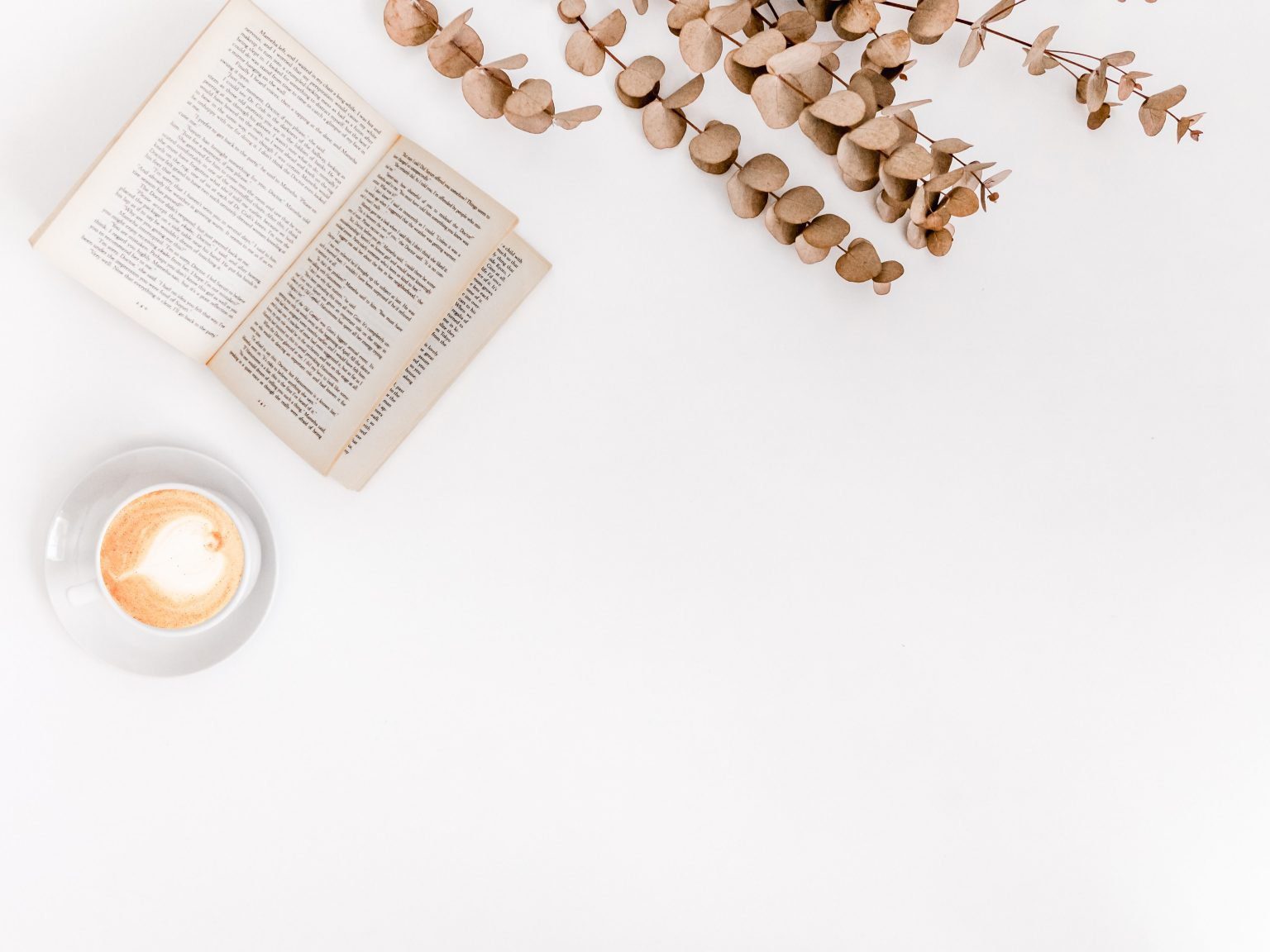 25 Cozy Cottagecore Book Recommendations - Sandra's Shelf