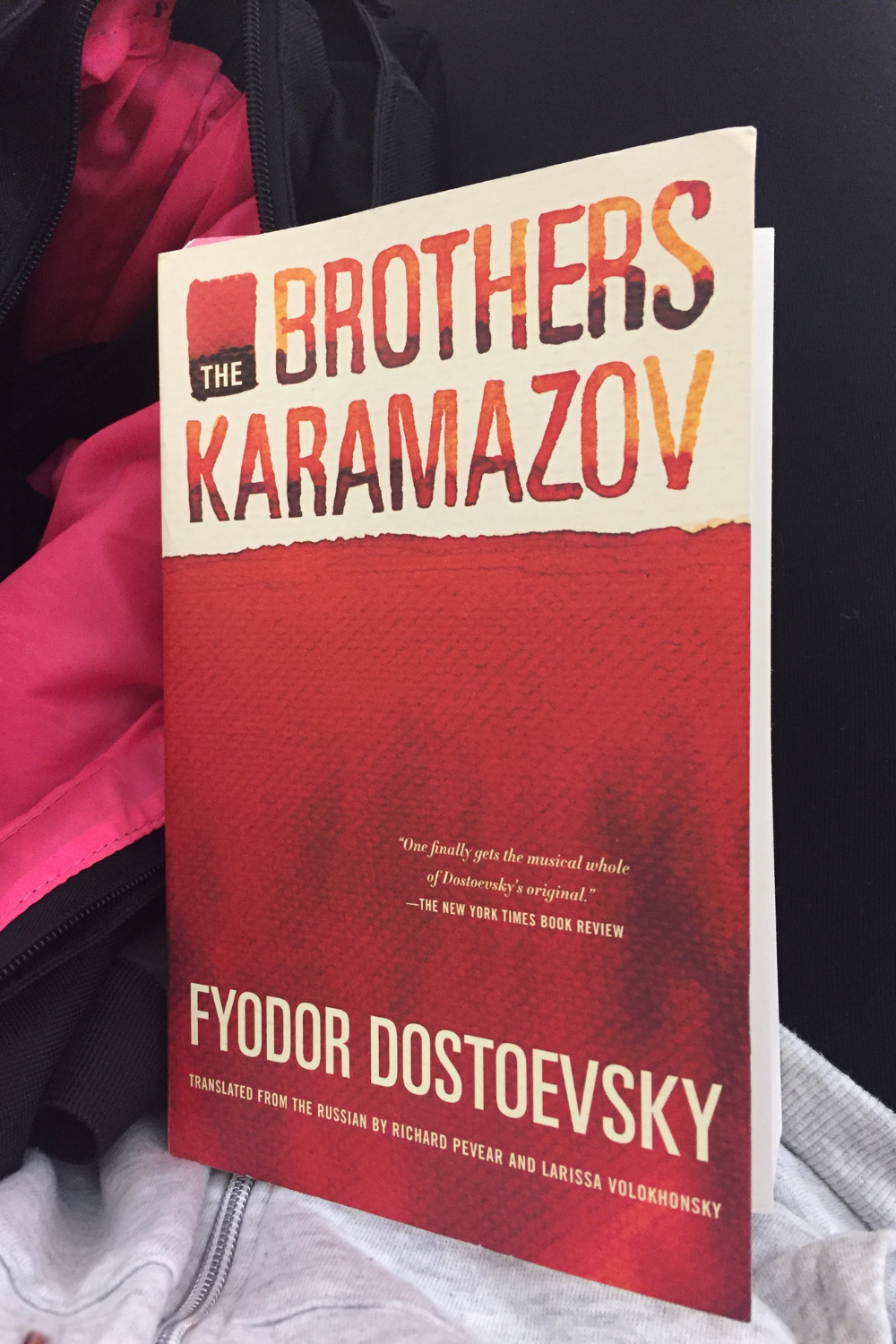 Book Review: The Brothers Karamazov by Fyodor Dostoevsky - Sandra's Shelf