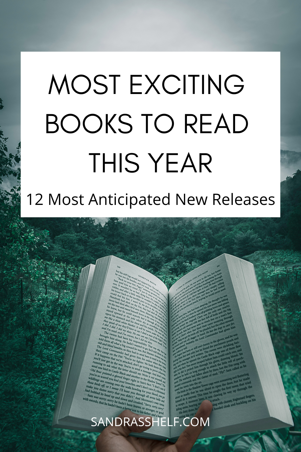 12 Most Anticipated New Book Releases of 2025 - Sandra's Shelf